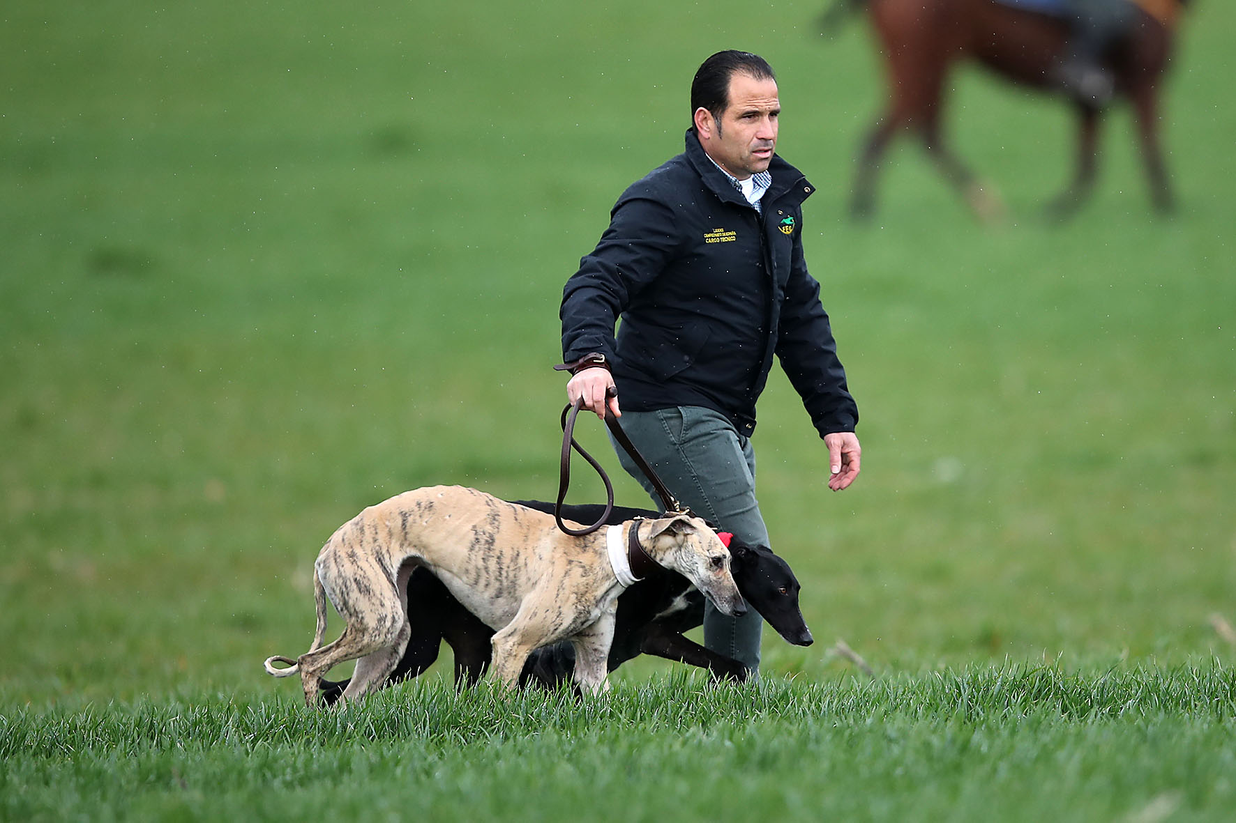 Federación Española de Galgos | FINAL DEL NACIONAL EN BLANCO Y NEGRO